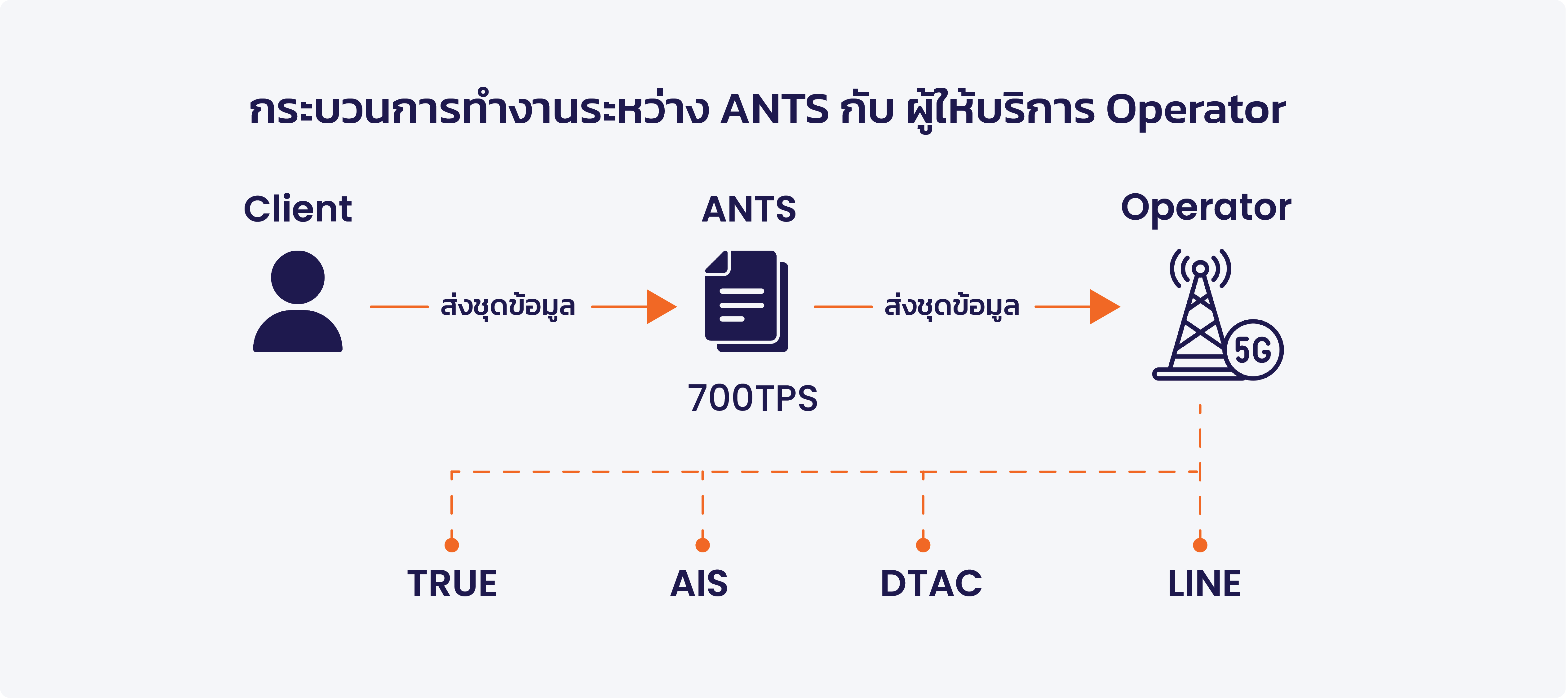 ANTS: Website